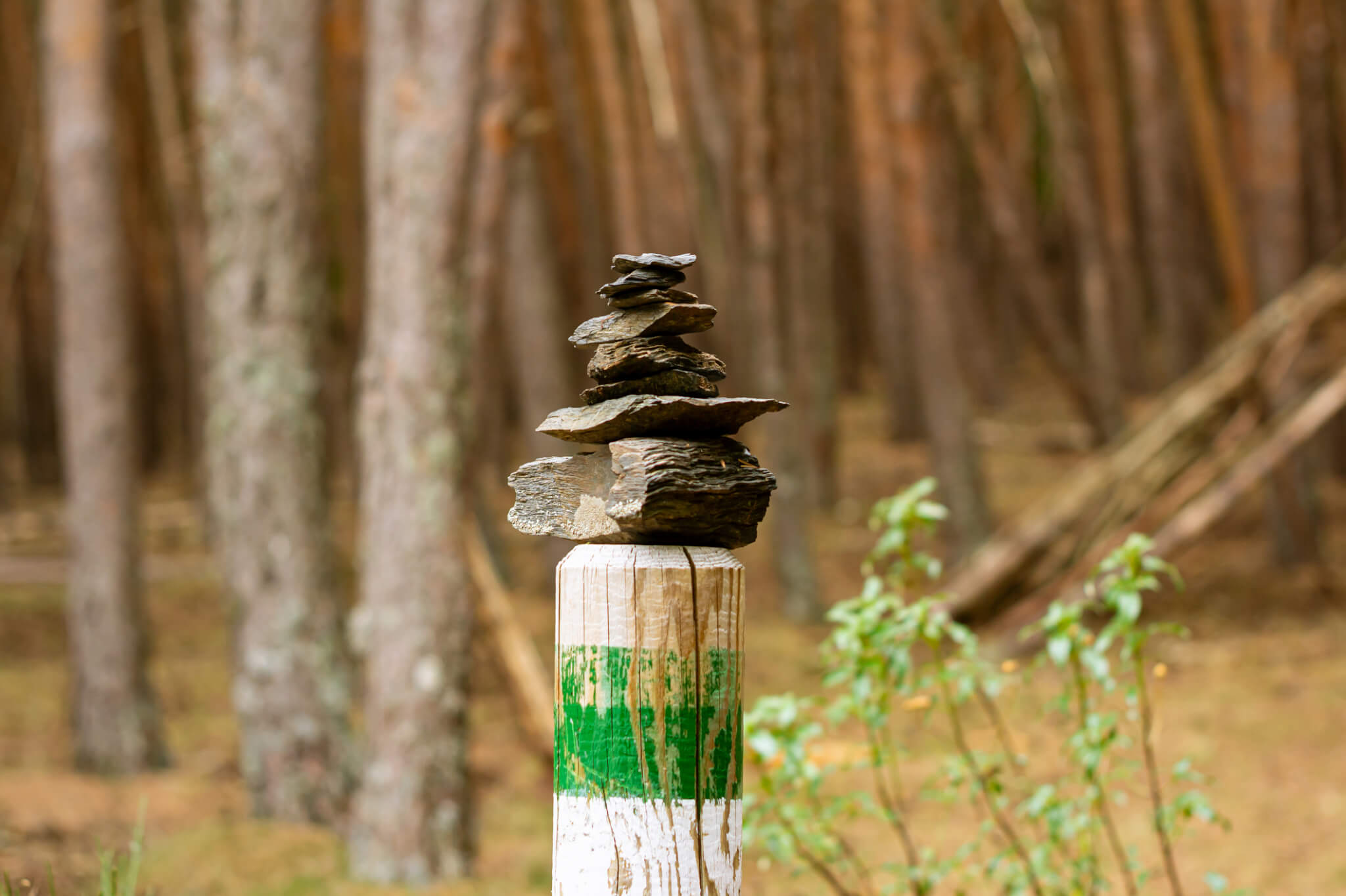 Markers and Milestones - Signature Leaders